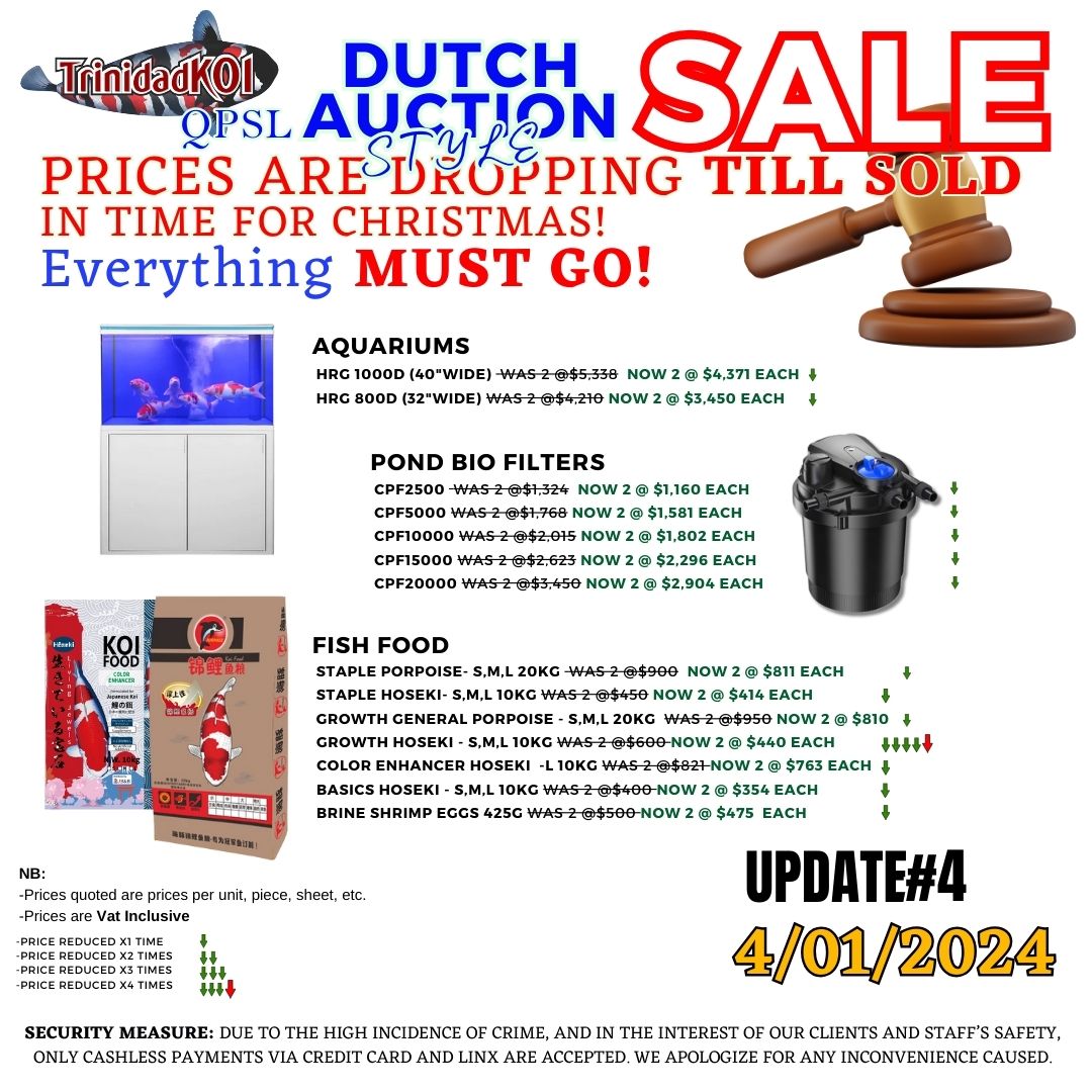 TTKoi Auction - QPSL