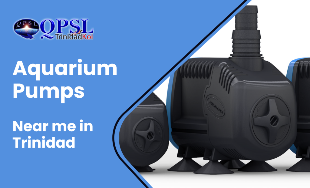 Aquarium Pumps Near Me in Trinidad: A Comprehensive Guide - QPSL