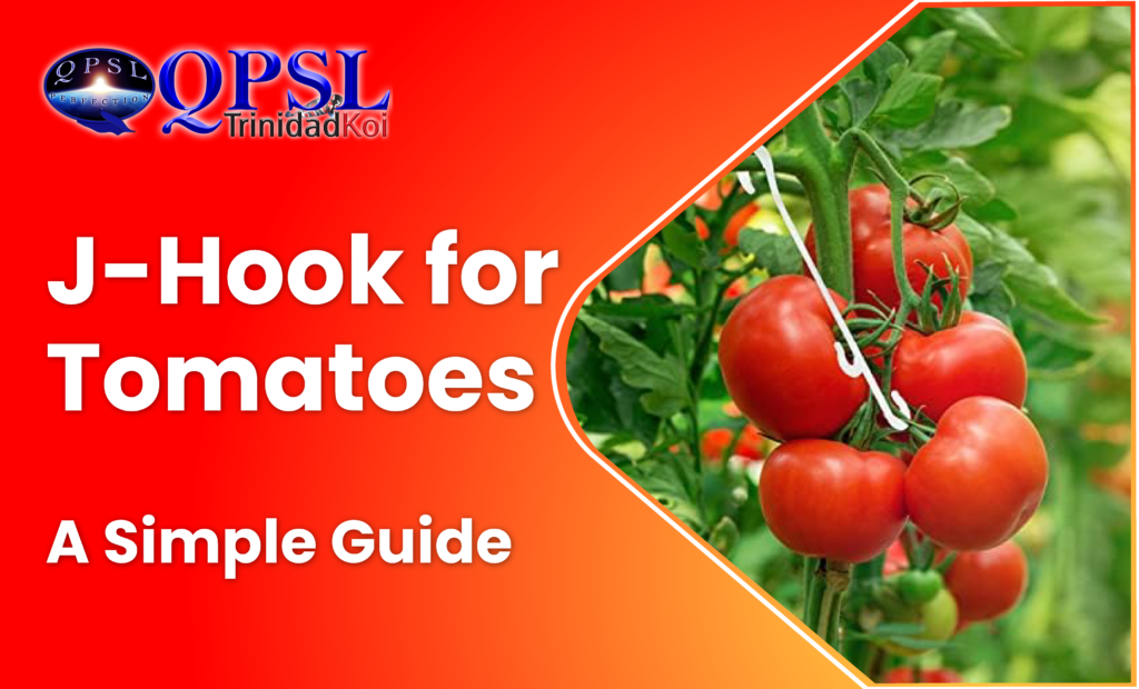 J-Hook for Tomatoes: A Simple Guide