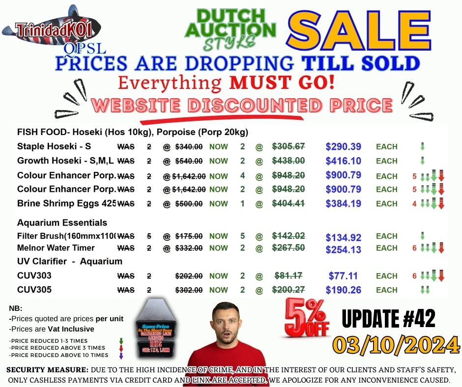 TTKoi Auction - QPSL