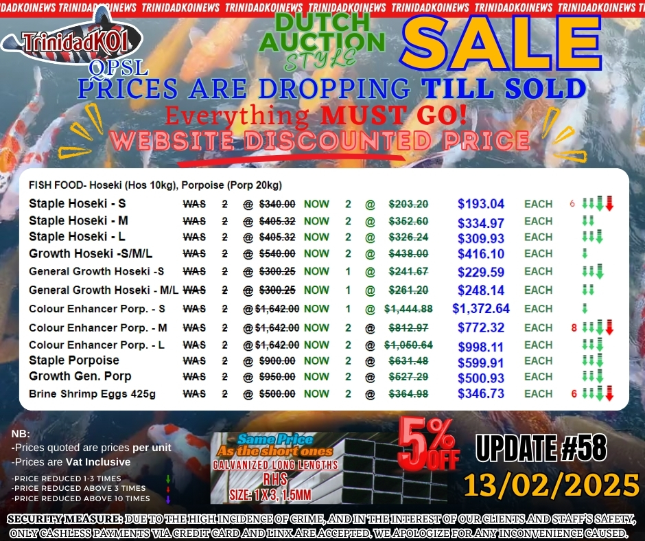 TTKoi Auction - QPSL