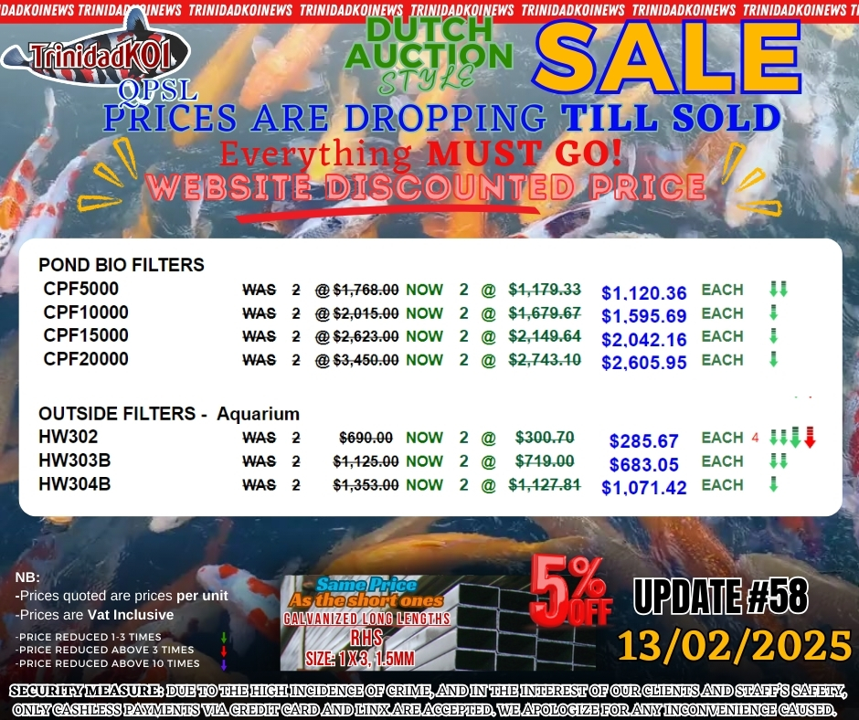 TTKoi Auction - QPSL